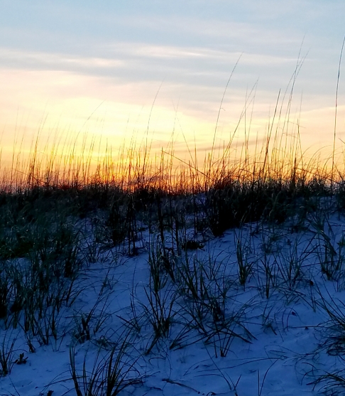 Where Y'Art Works | "Sea Dunes" by Callie Joseph